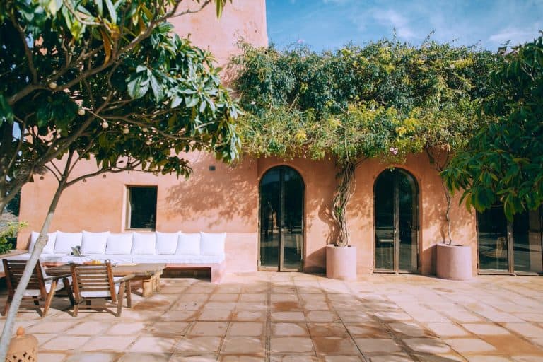 De beste plantene for å skape et frodig uterom - Kulturstua